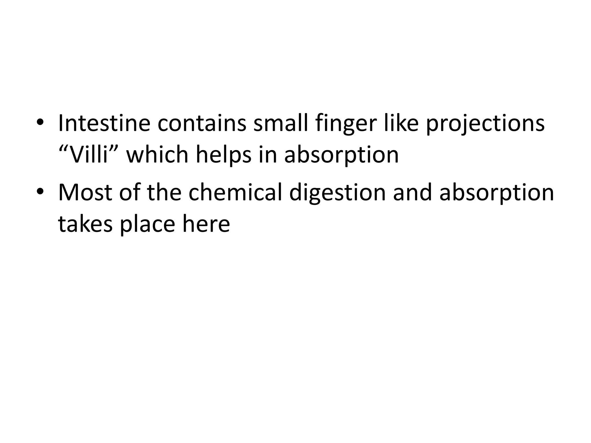 digestive system of Poultry | PPTX
