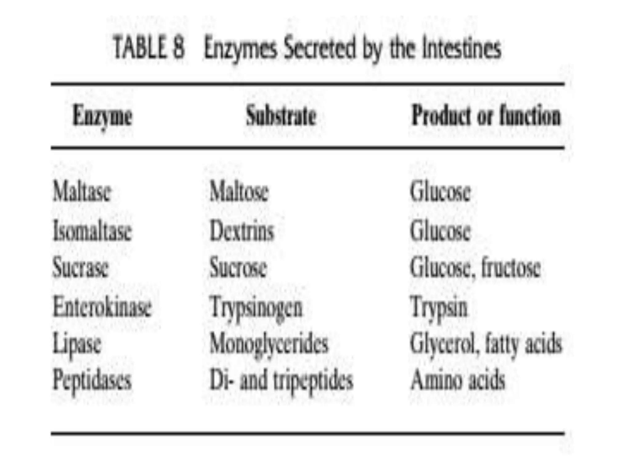 digestive system of Poultry | PPTX