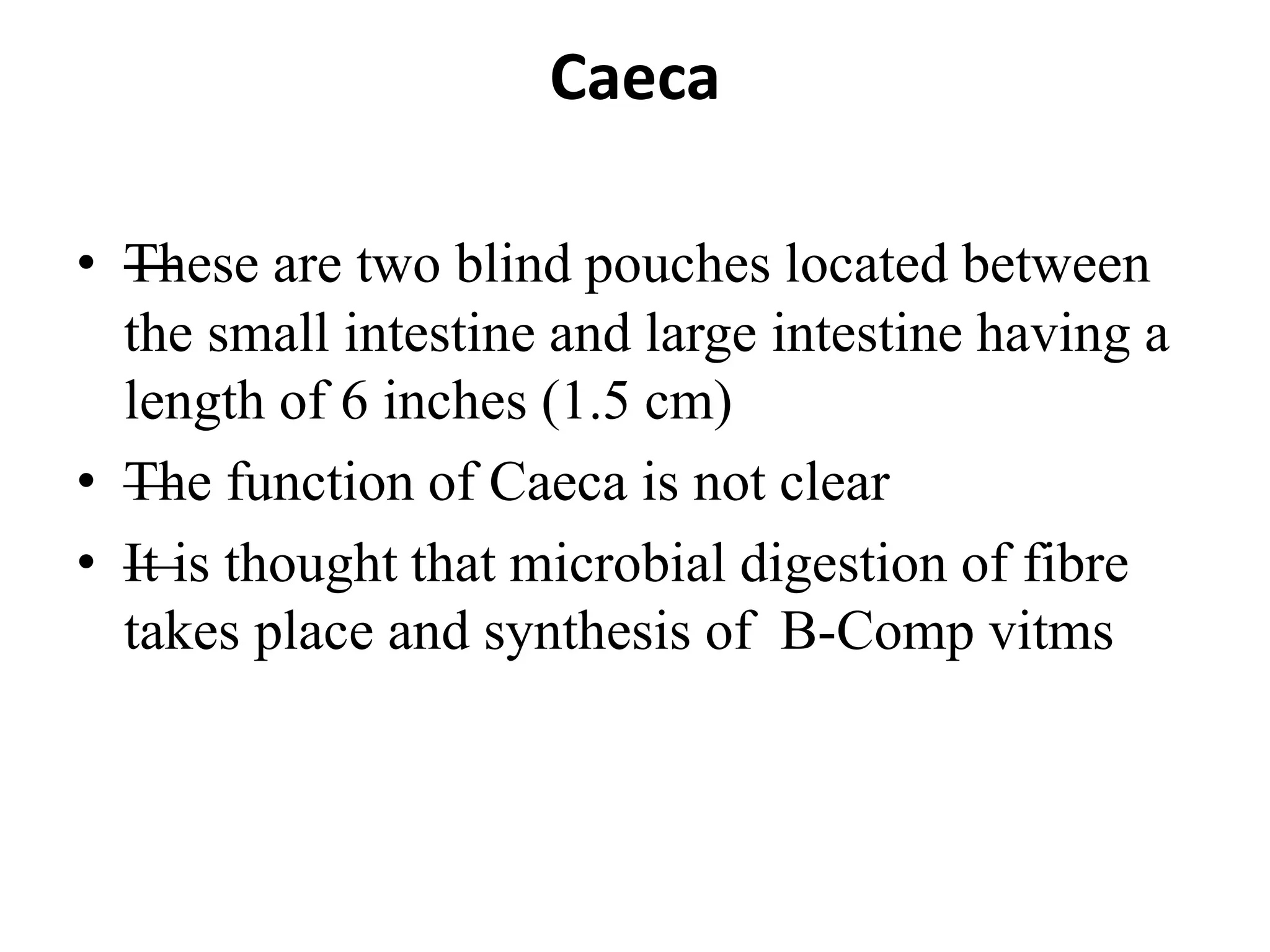 digestive system of Poultry | PPTX