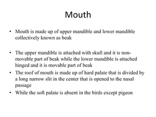 digestive system of Poultry | PPTX