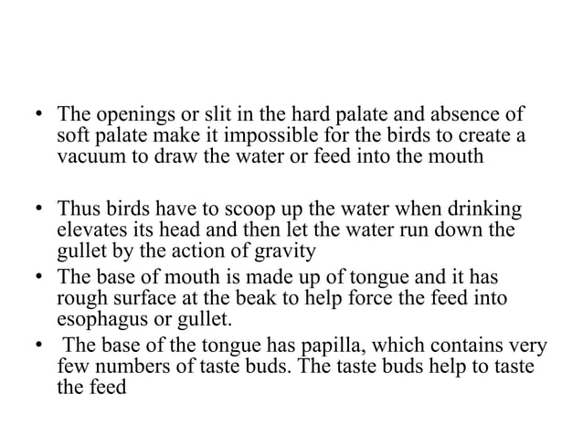 digestive system of Poultry | PPTX | Birds | Pets