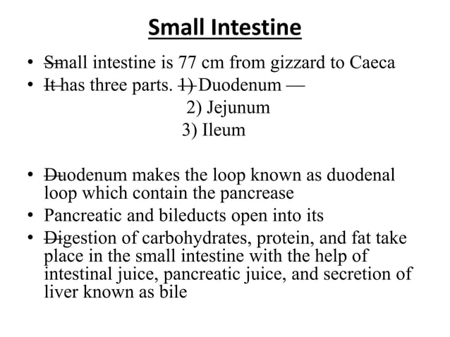 digestive system of Poultry | PPTX | Birds | Pets