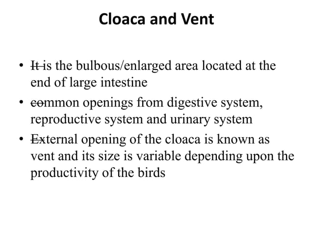 digestive system of Poultry | PPTX | Birds | Pets