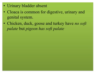 digestive system of Poultry | PPTX