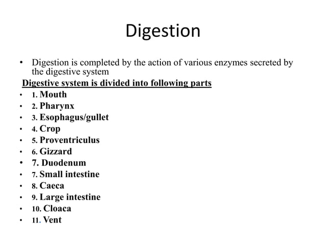 digestive system of Poultry | PPTX | Birds | Pets