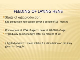 importance of scientific and proper POULTRY FEEDING | PPTX