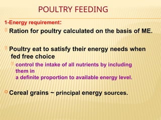 importance of scientific and proper POULTRY FEEDING | PPTX