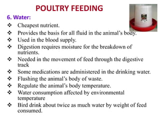 Feeding of Broiler, Layer, Duck, Guine fowl, Japanese Quail, Emu ...