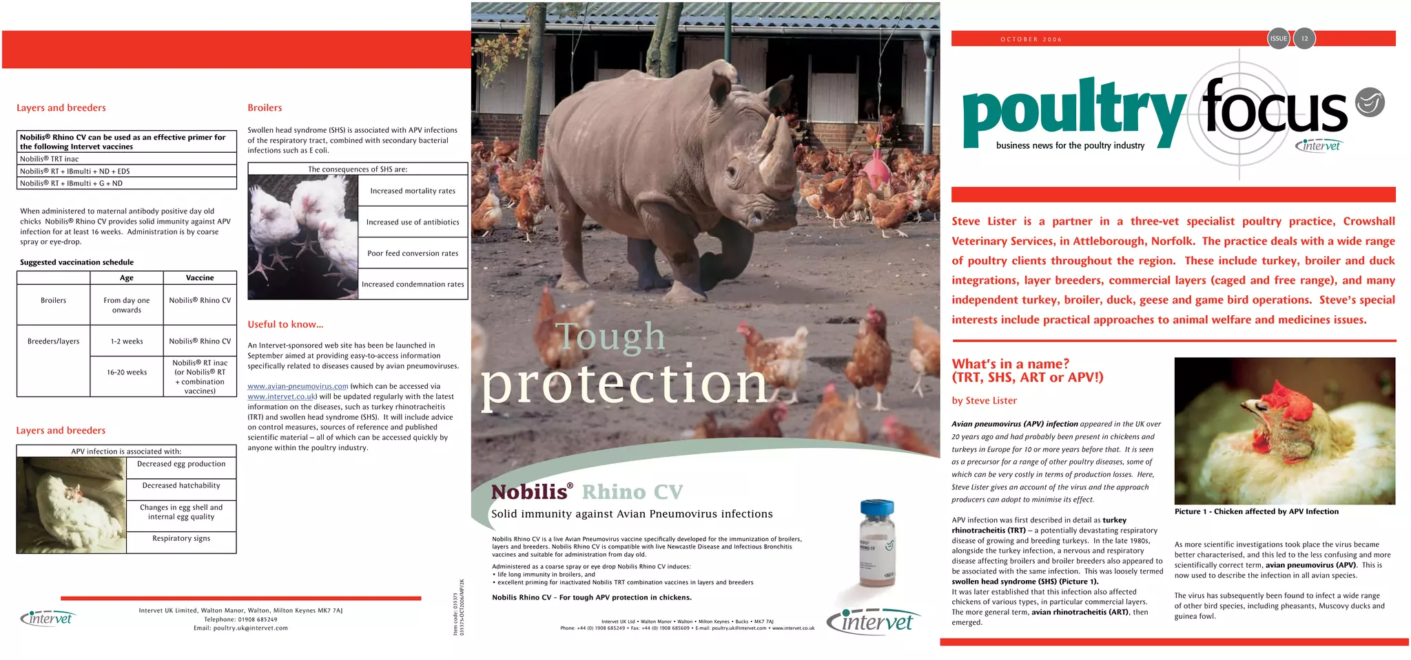 Poultry focus shs | PDF