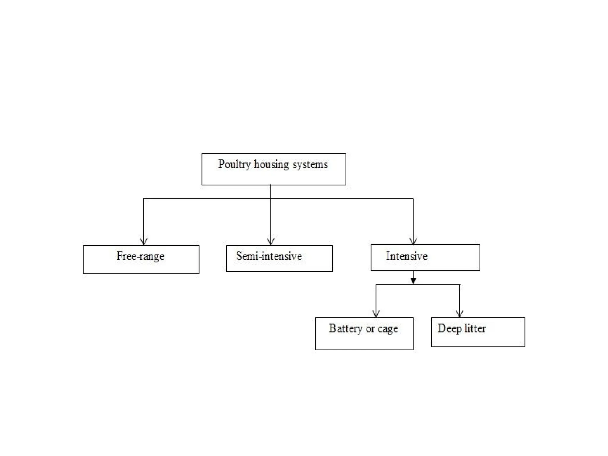 poultry production and management options for graduating classes.ppt
