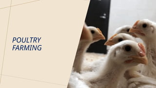 Poultry Framing in India - Benefits and Types | PPTX