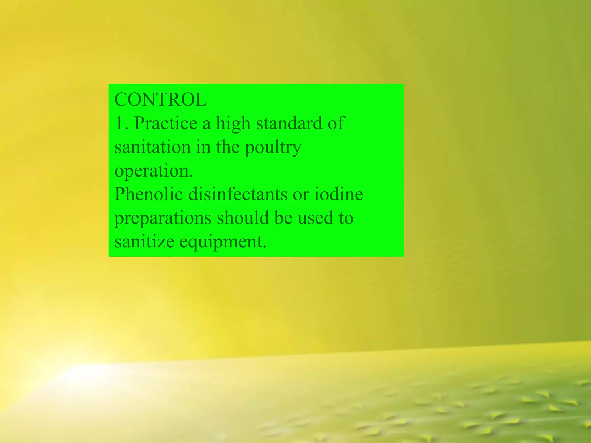 poultry fungal diseases candidiasis infection.pdf