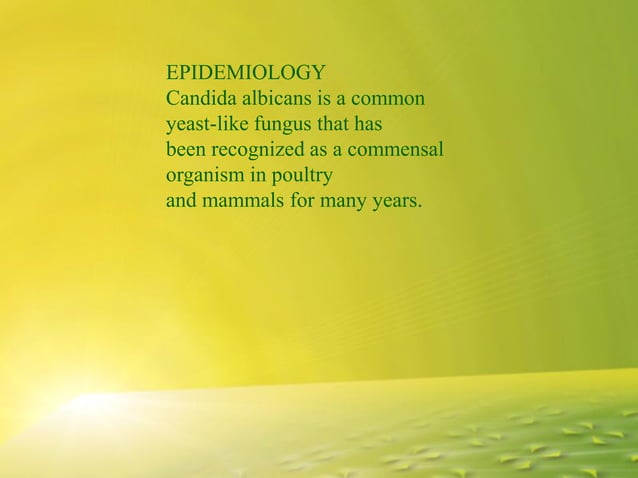 poultry fungal diseases candidiasis infection.pdf | Medical Health