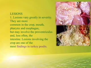 poultry fungal diseases candidiasis infection.pdf