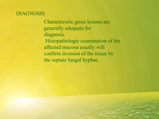 poultry fungal diseases candidiasis infection.pdf