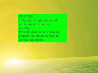 poultry fungal diseases candidiasis infection.pdf