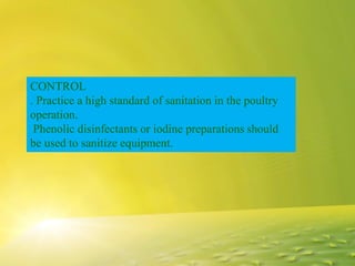 poultry fungal diseases candidiasis infection.pdf