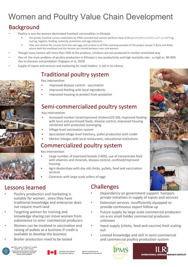 Women and Poultry Value Chain Development | PDF