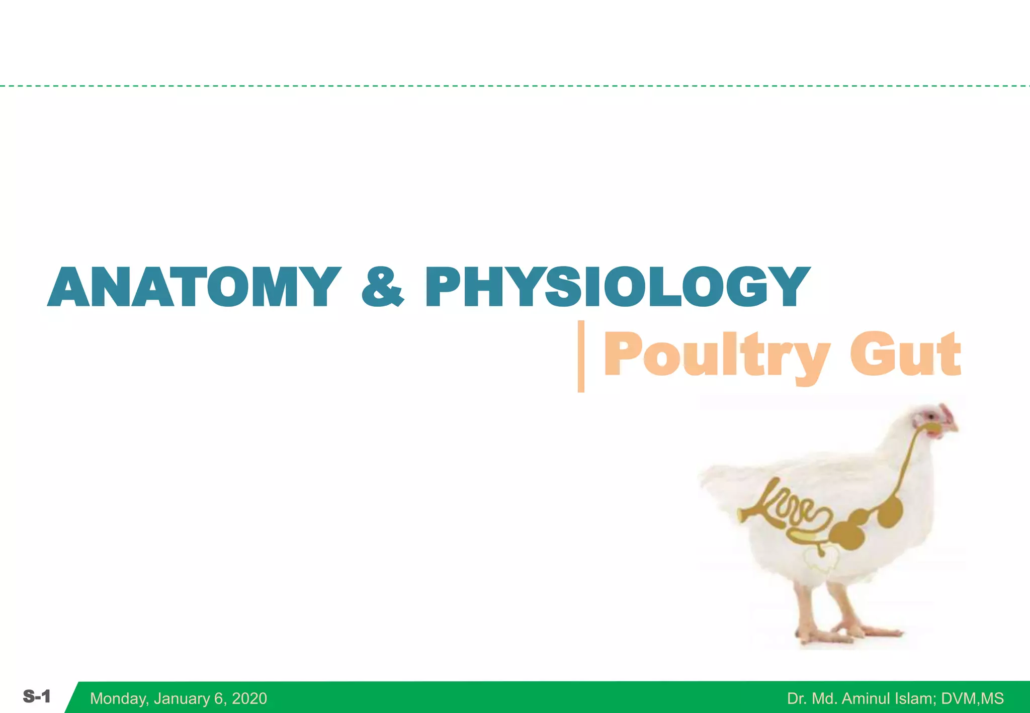 Poultry gut anatomy & physiology | PPTX