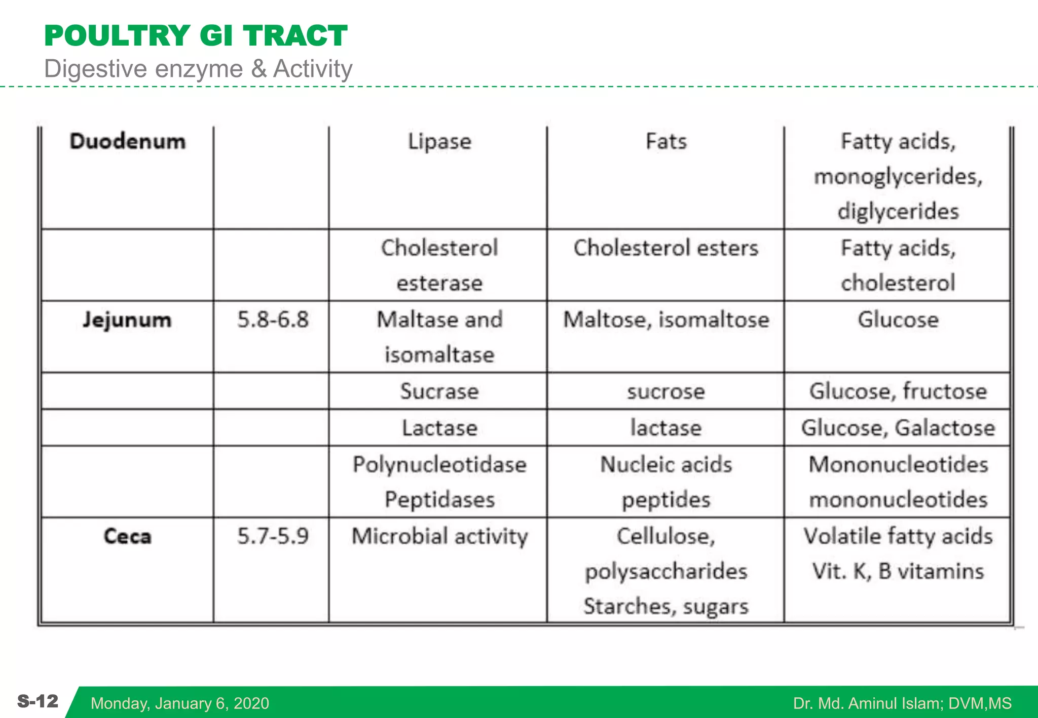 Poultry gut anatomy & physiology | PPTX