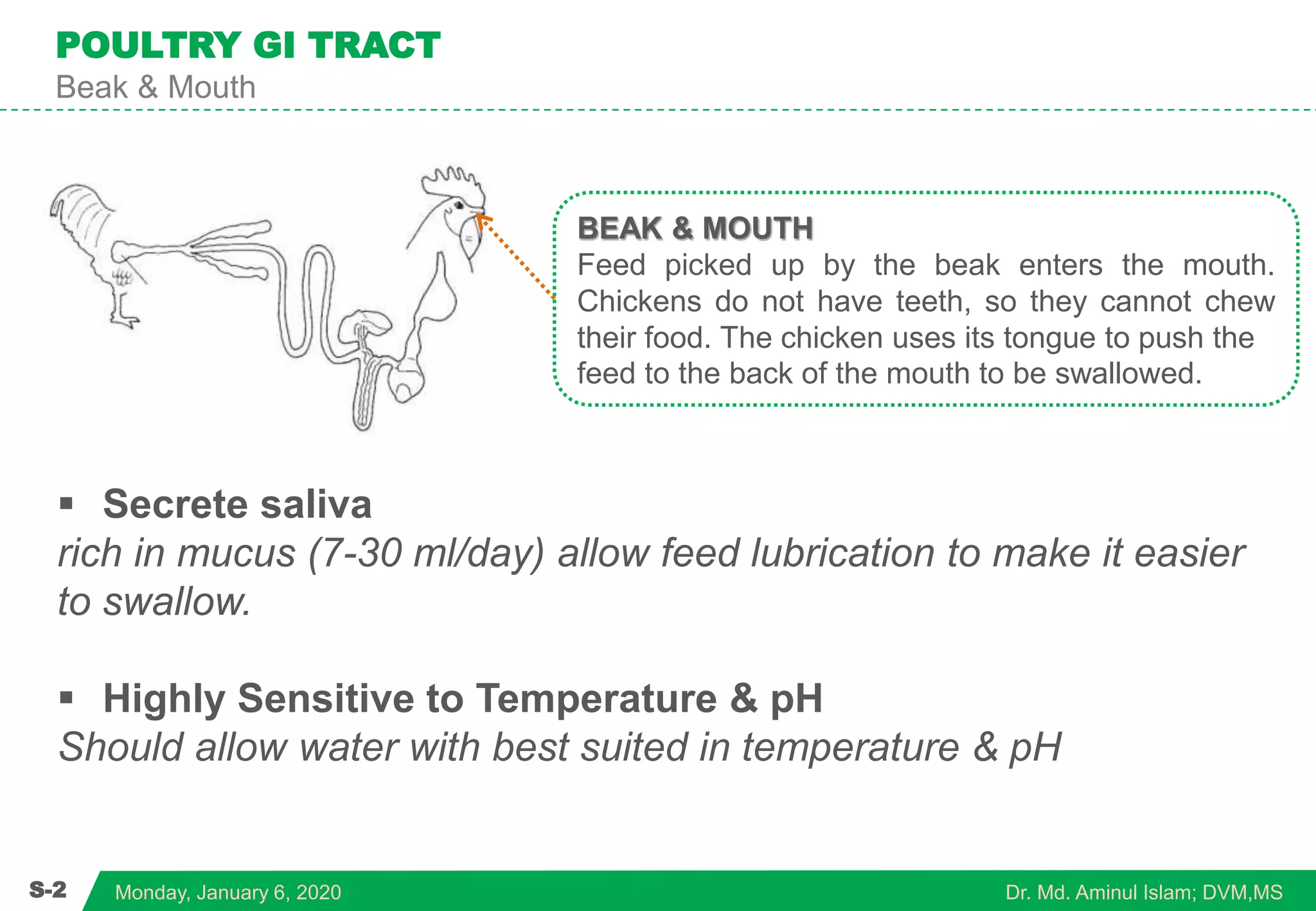 Poultry gut anatomy & physiology | PPTX