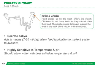 Poultry gut anatomy & physiology | PPTX