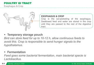 Poultry gut anatomy & physiology | PPTX