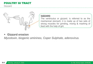 Poultry gut anatomy & physiology | PPTX
