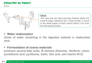 Poultry gut anatomy & physiology | PPTX