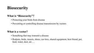Poultry health and biosecurity | PPTX