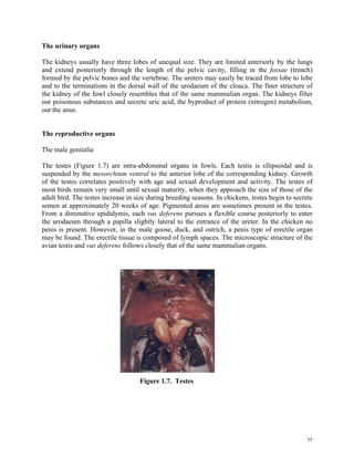 Poultry Health and Mangement Textbook | PDF