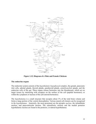 Poultry Health and Mangement Textbook | PDF