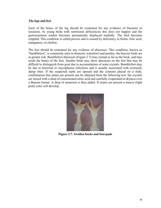 Poultry Health and Mangement Textbook | PDF