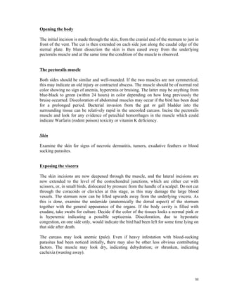 Poultry Health and Mangement Textbook | PDF