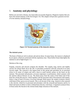 Poultry Health and Mangement Textbook | PDF