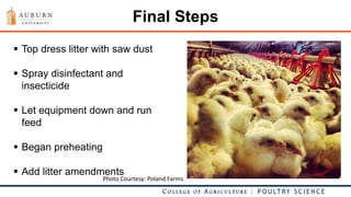 Poultry health ppt | PPTX