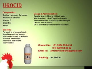 calcium tonic for poultry | PPT