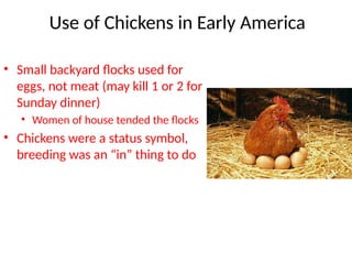 Poultry History and Industry in agri.pptx