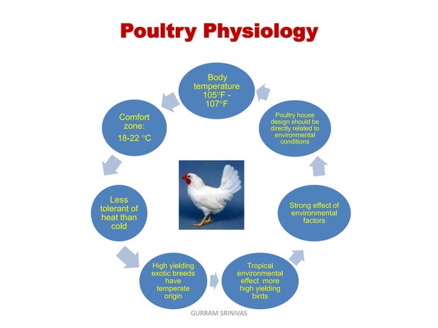 Different Types of Poultry Housing System for Tropical Climate | PPT | Birds | Pets