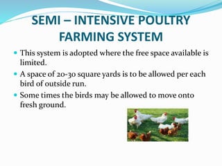 Poultry housing | PPTX