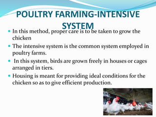 Poultry housing | PPTX