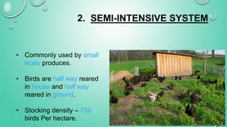 Poultry housing management | PPTX