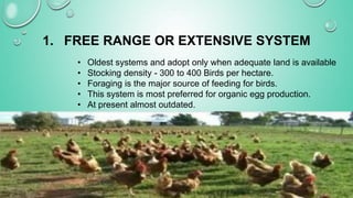 Poultry housing management | PPTX