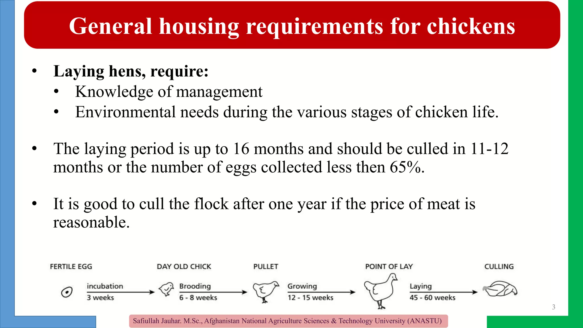 Poultry Housing Management And Shelter Management Pptx