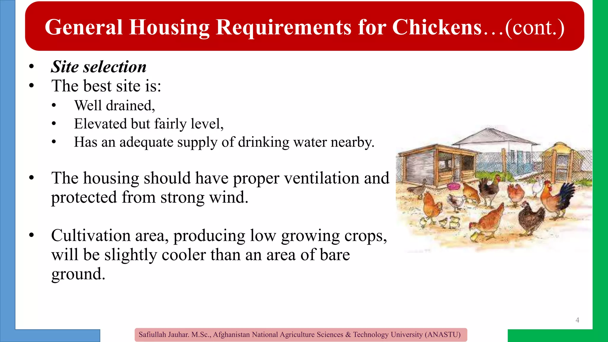 Poultry housing management and shelter Management | PPTX