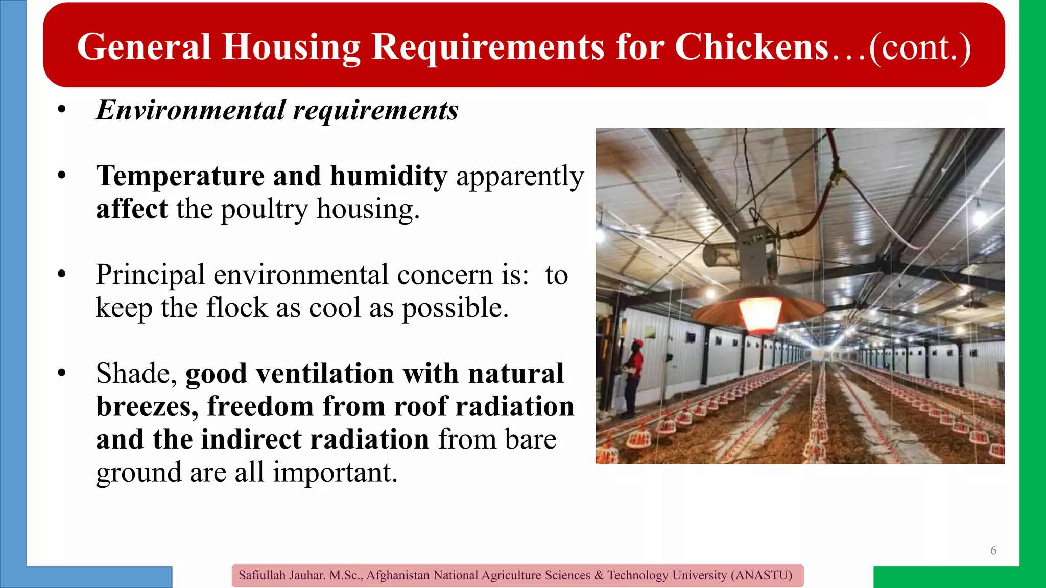 Poultry housing management and shelter Management | PPTX