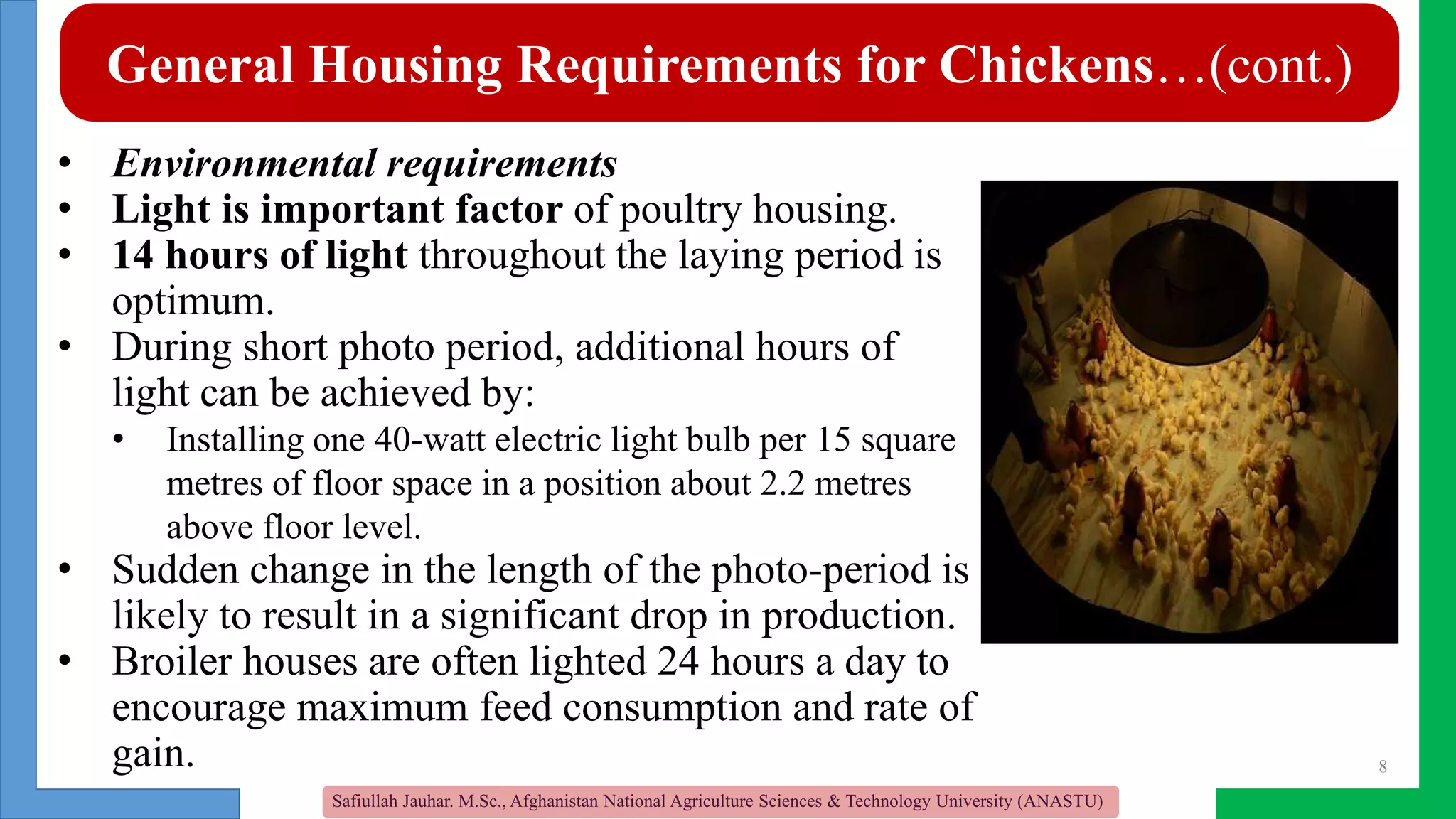 Poultry housing management and shelter Management | PPTX