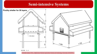 Poultry housing management and shelter Management | PPTX