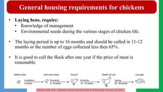 Poultry housing management and shelter Management | PPT