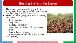 Poultry housing management and shelter Management | PPTX